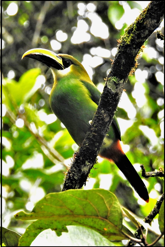 tours lake atitlan guatemala